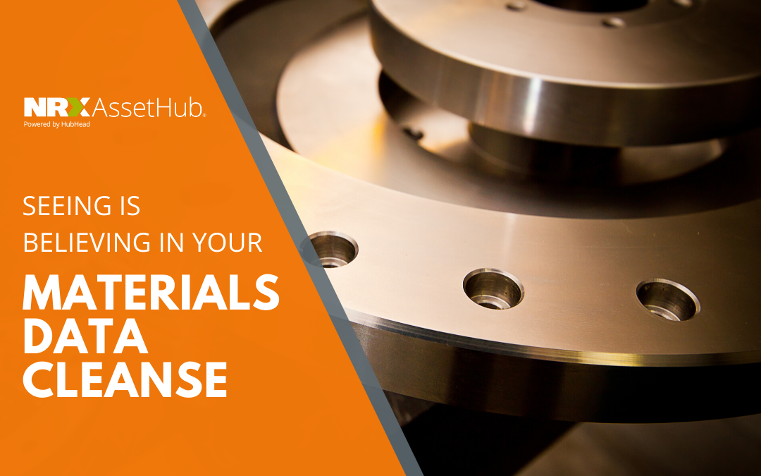 Seeing is Believing in Your Materials Data Cleanse - NRX AssetHub